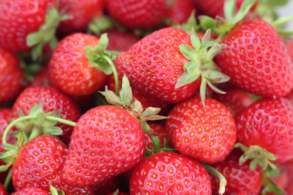 Root and Crown Rot Diseases on the Rise in Wisconsin Strawberries ...