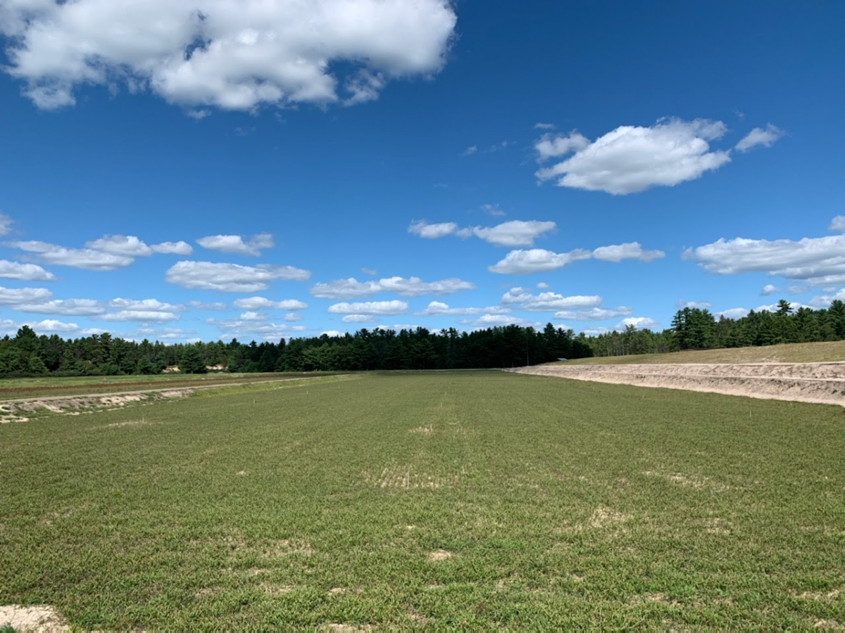 Update from the Wisconsin Cranberry Research Station – Wisconsin Fruit