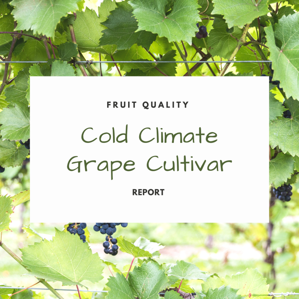 Cold Climate Grape Cultivar Fruit Quality Report August 11, 2022 ...