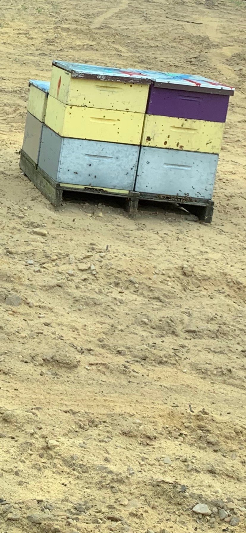 Bee Productivity Observations – Wisconsin Fruit