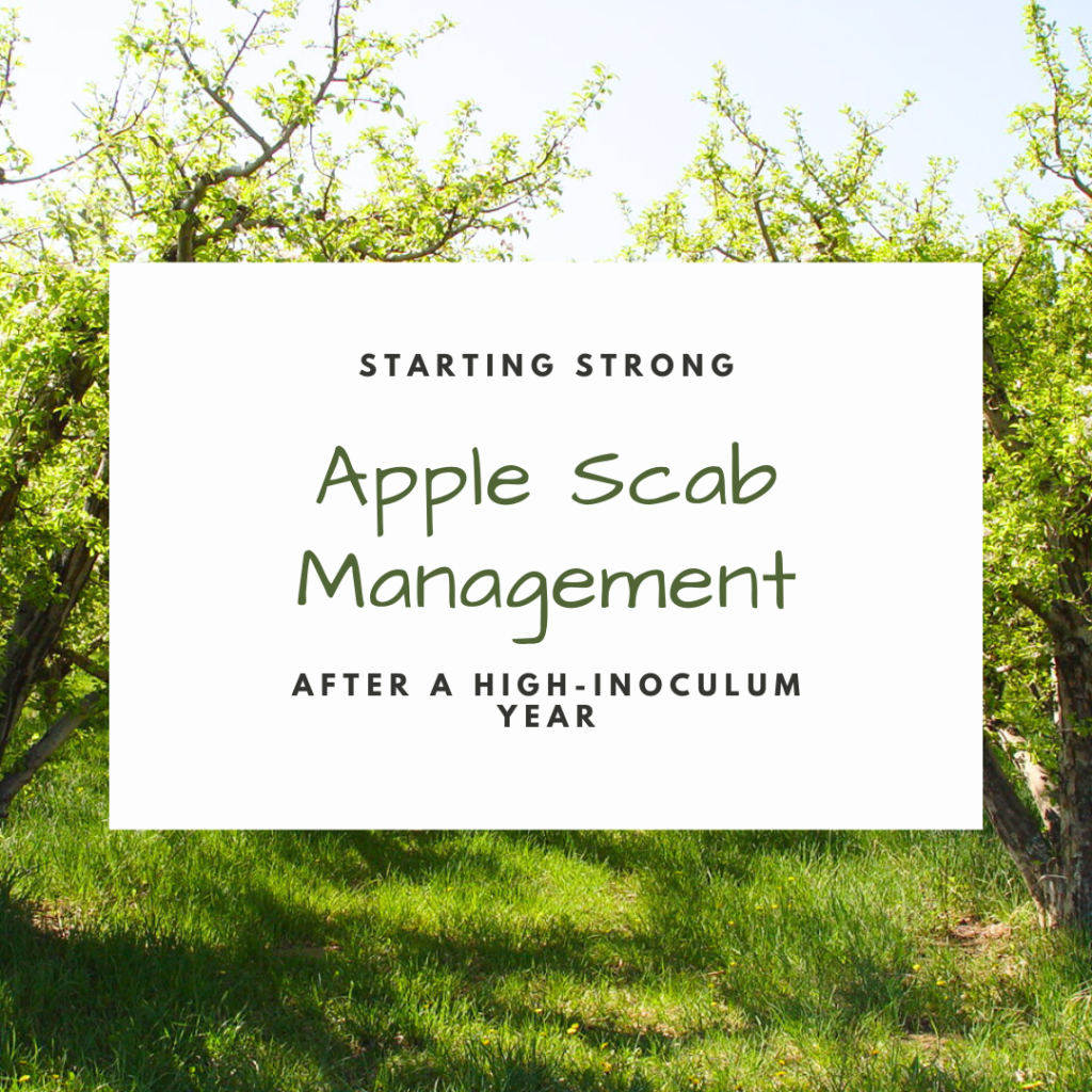 Apple Scab Management: Starting Strong After a High-Inoculum Year ...